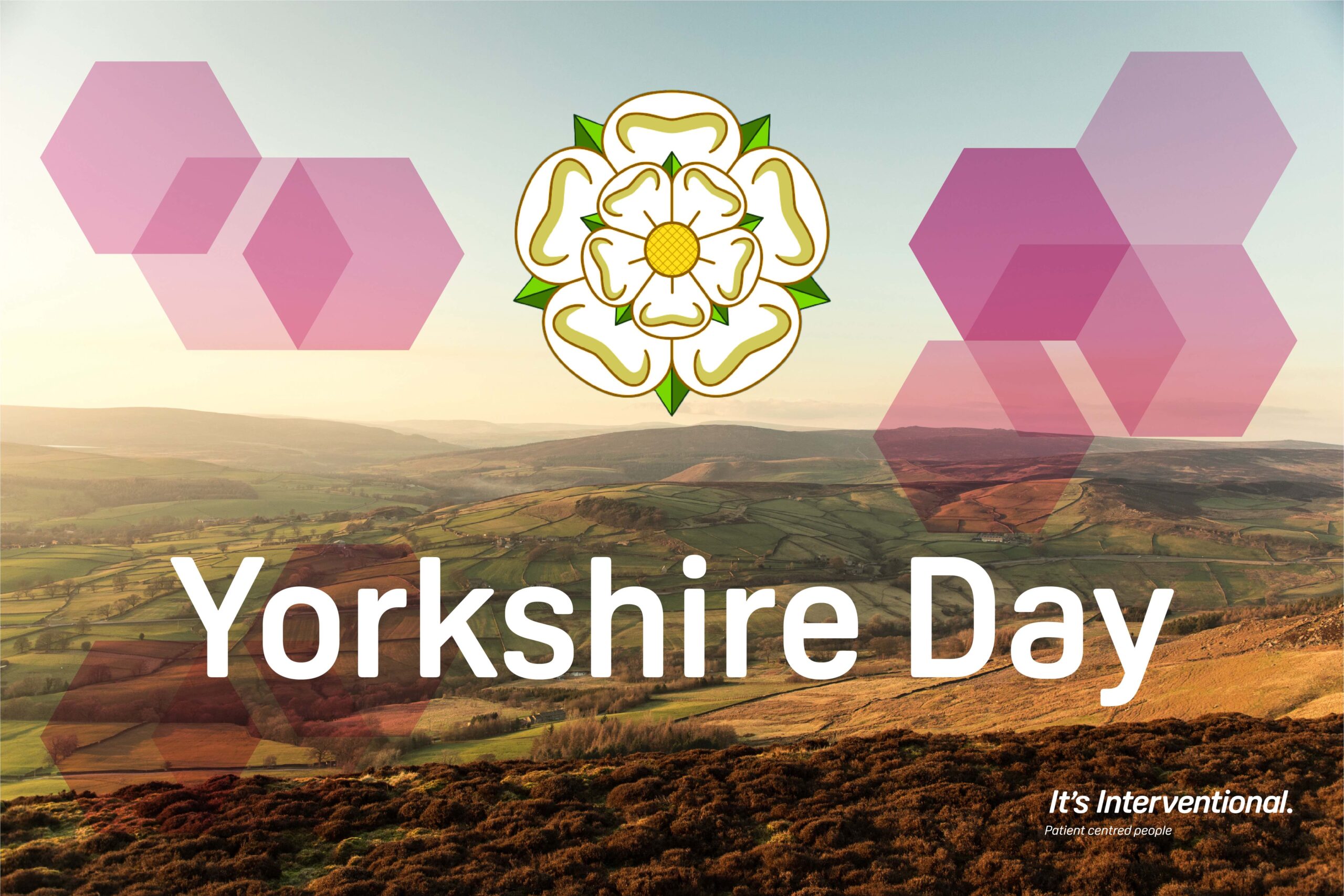 Yorkshire Day 1st August - Its Interventional - Sheffield based SME